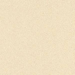 coarstone | India | RAK Ceramics